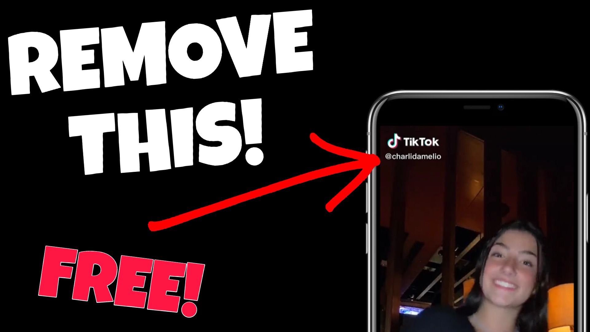 SSSTikTok How To Download TikTok Videos Without Watermark Free Mob Apk